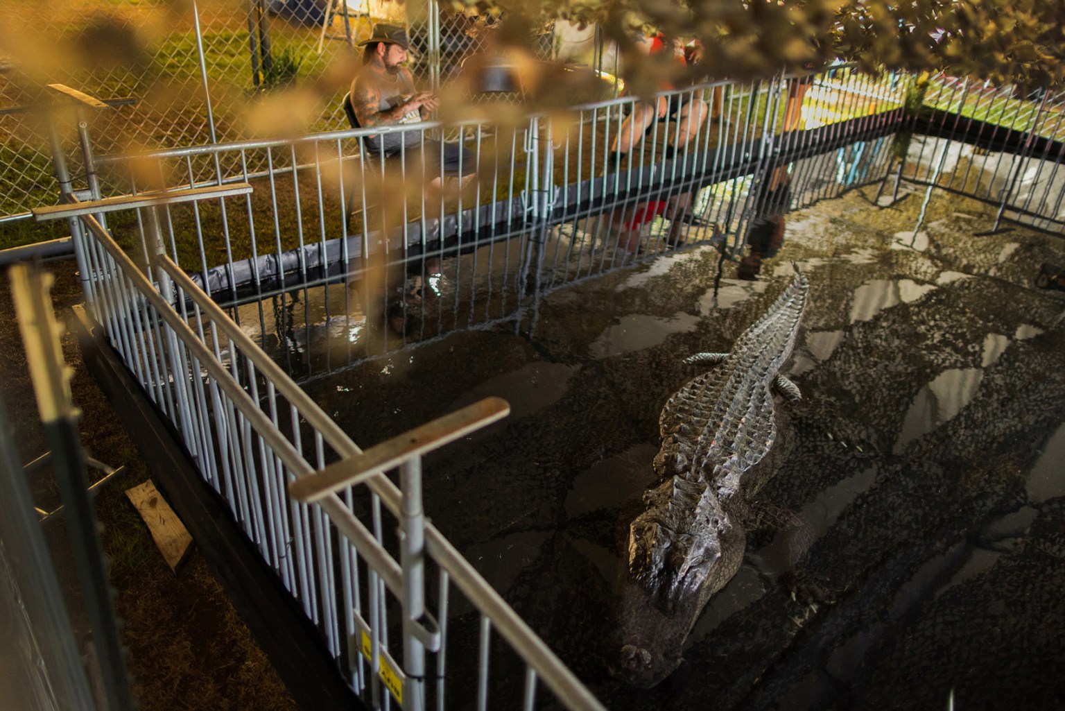 Anahuac’s Gatorfest ends with new queen, ‘big-ass gator’