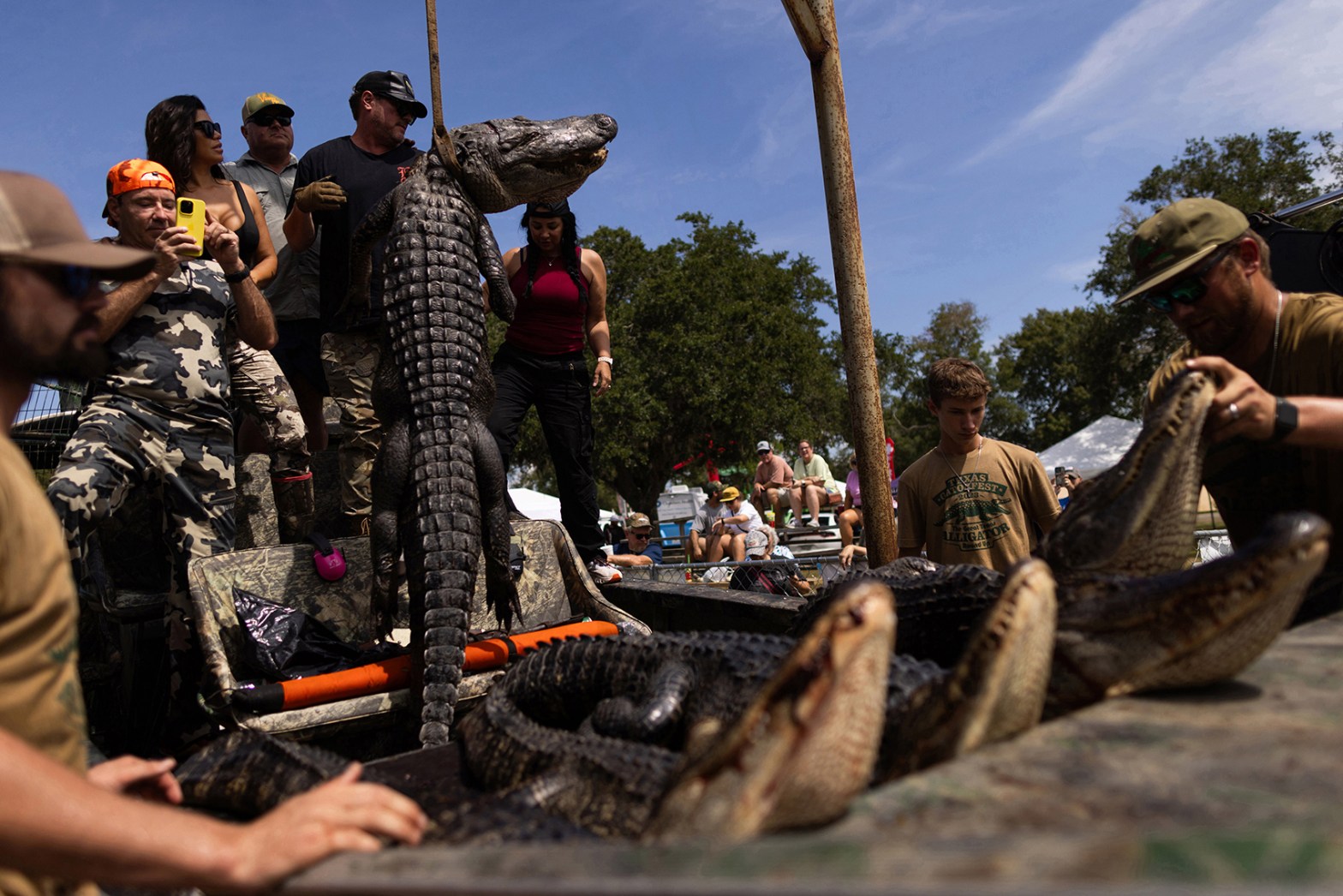 Anahuac’s Gatorfest ends with new queen, ‘big-ass gator’