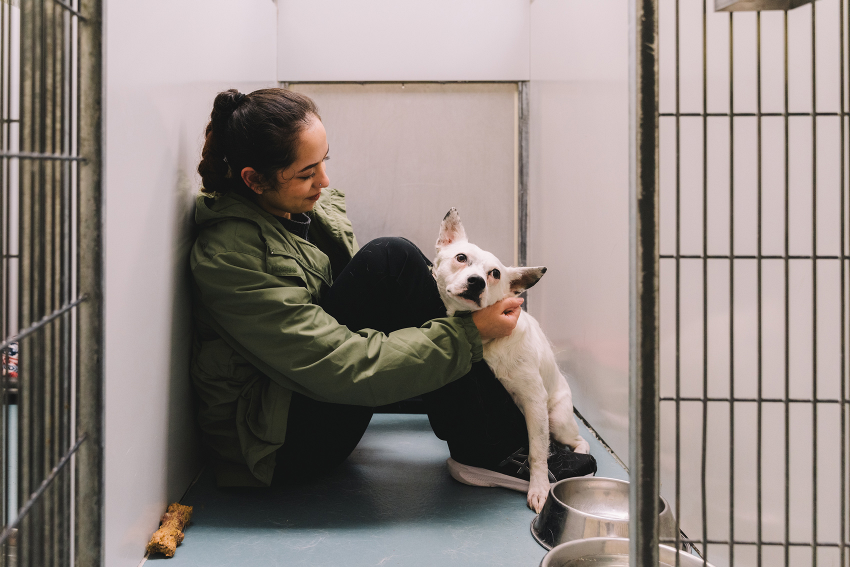 Houston launches effort to build new animal shelter