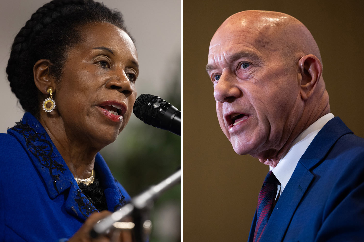 Houston runoff elections for mayor, council to be decided