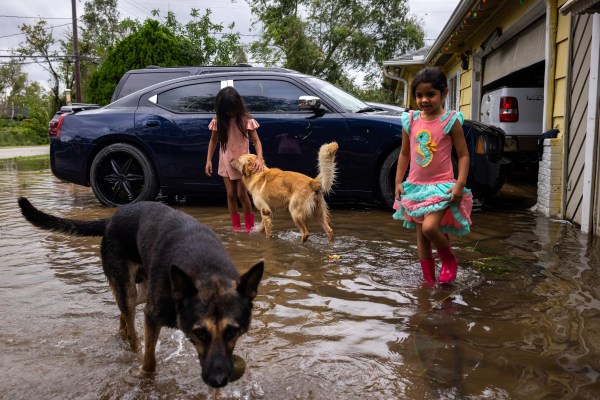 Photo essay: Hurricane Beryl's aftermath in Houston, documented ...