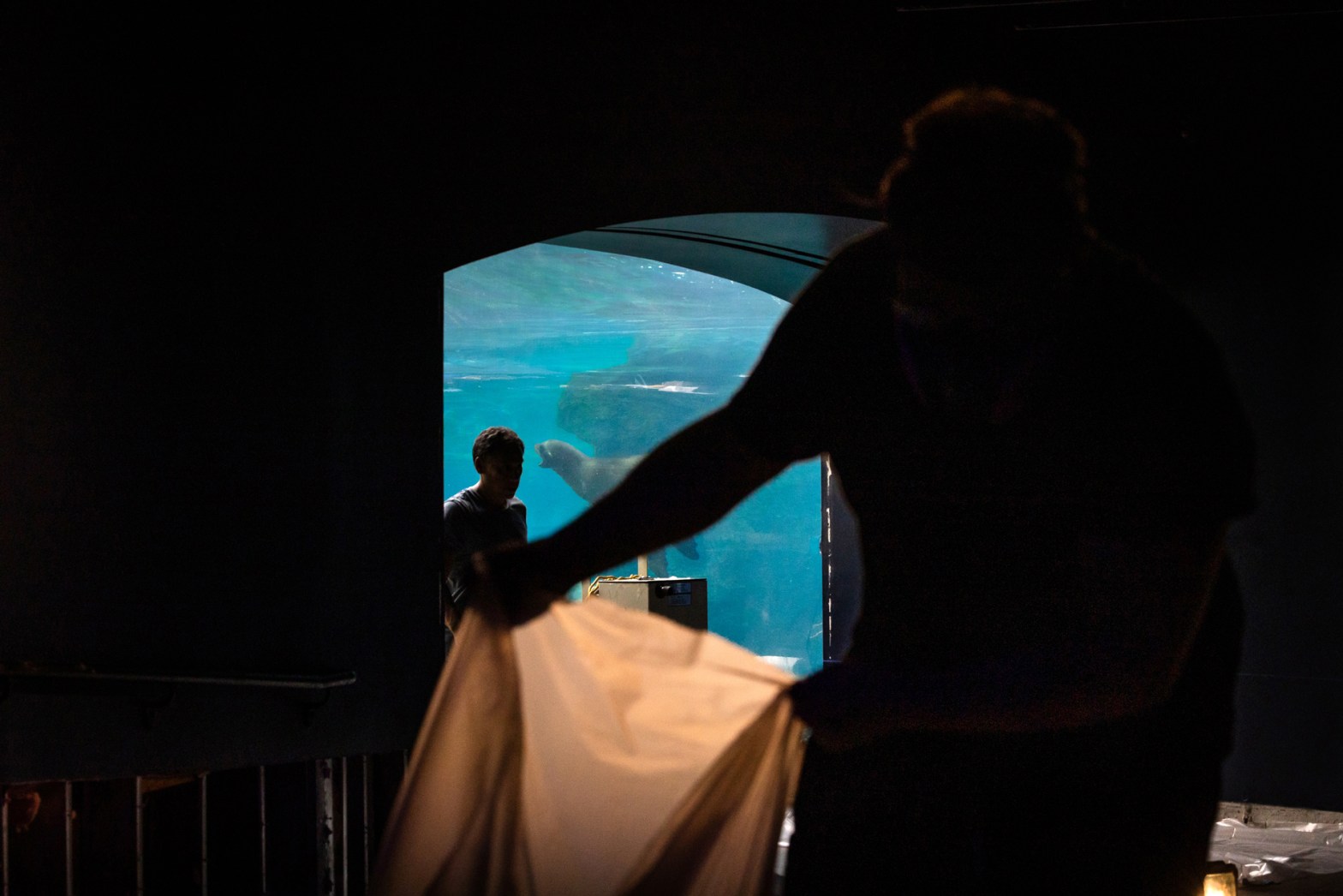 Photo essay: Hurricane Beryl's aftermath in Houston, documented ...