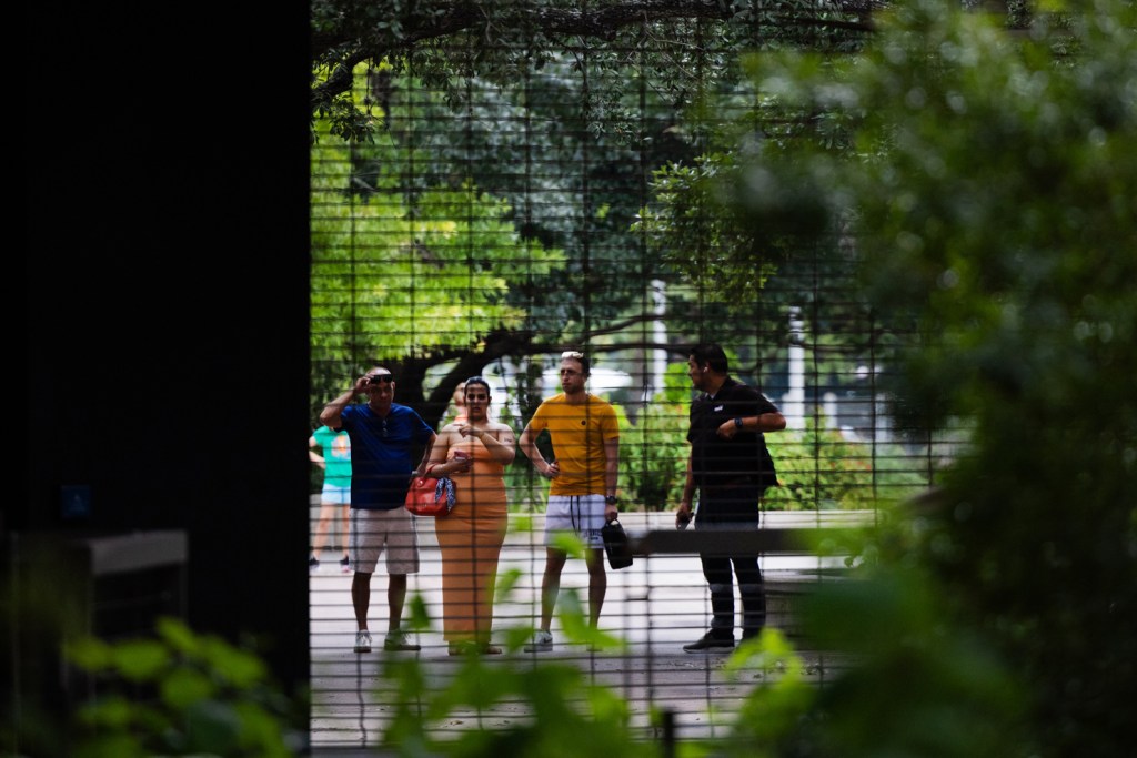 Houston Zoo works to recover after Hurricane Beryl hits city