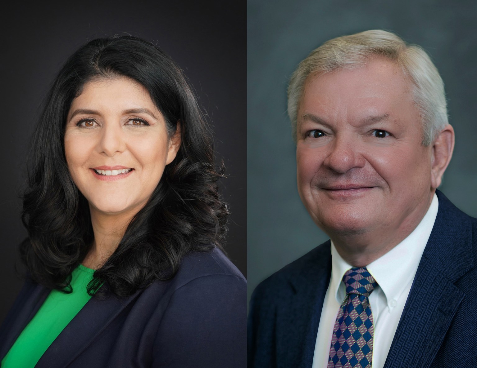 Harris County tax assessor race: Radack seeks bully pulpit, Ramirez ...